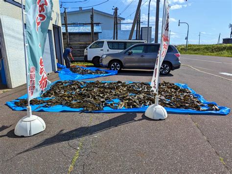 アザラシはいる仙法志御崎公園のアクセスは見どころやアザラシについても紹介 北と南の観光ガイド