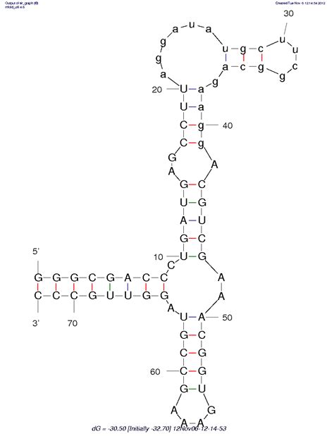 Fmn Induced Molecular Switch