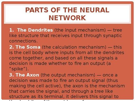 Psychology Neuro Unit Brain Structure And Function Powerpoint By Kca