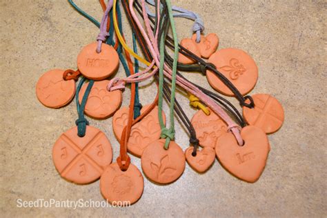 Diy Essential Oil Terra Cotta Diffuser Seed To Pantry School