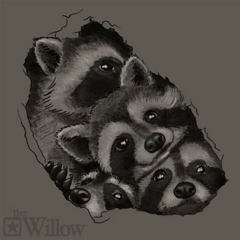 Cub Sketch A Day By La P On Deviantart