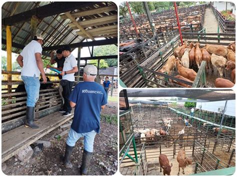 Instituto Colombiano Agropecuario Ica