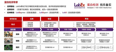 特应性皮炎：发病机制解析与治疗演进 知乎