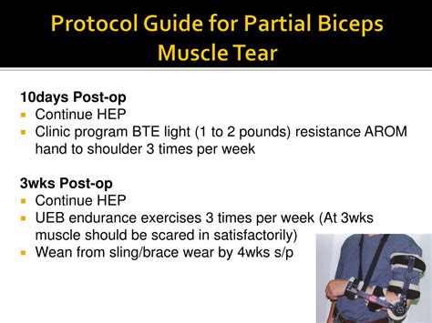 Ppt Distal Bicep Ruptures Powerpoint Presentation Free Download Id