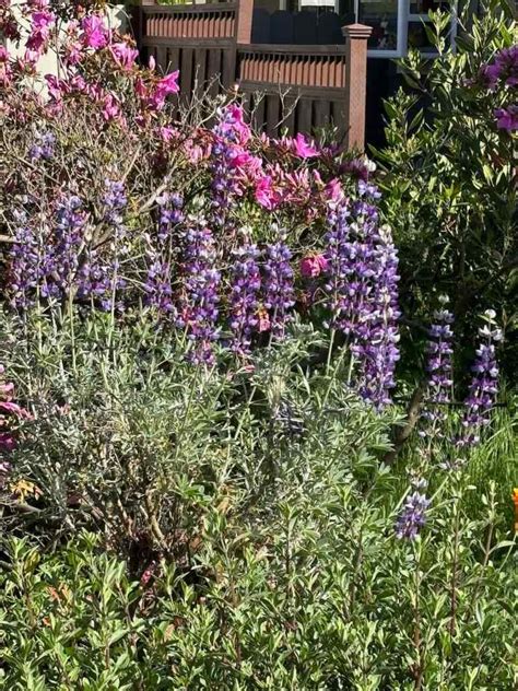 Nvidia Gtc Part Iv The Keys To Successful Llms Training And To Llms Based Recommender Systems