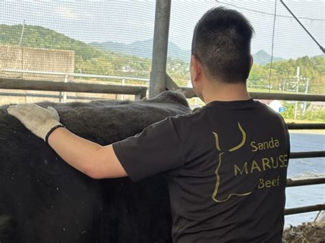 【兵庫県産和牛 肉のマルセ】三田牛 三田マルセ 牛肉のマルセ｜こだわり「三田牛」。白と赤の芸術がここにあります。