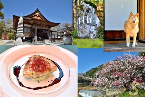 【阿智村】昼神温泉「鶴巻荘」宿泊体験レポ｜お料理が随一のおいしさ Skima信州 長野県の観光ローカルメディア
