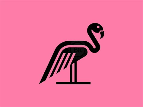 Flamingo Logo Branition