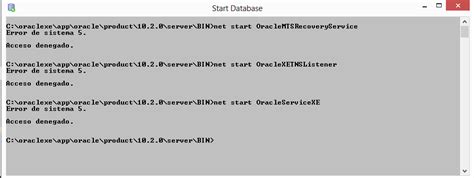 Base De Datos Error Al Iniciar Y Desinstalar Oracle 10g Express