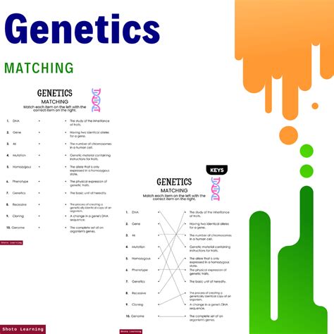 Genetics Match Master Dive Into DNA With Our Engaging Matching