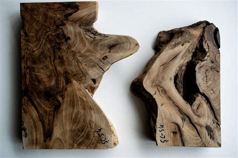 Walnut Tree Slice Walnut Tree Wood Slabs Live Edge Unique Etsy