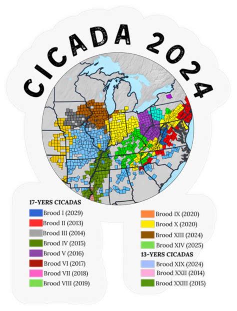 Cicada Brood Maps Xiii And Xix 2024 Stickers Sold By Lepechormesge