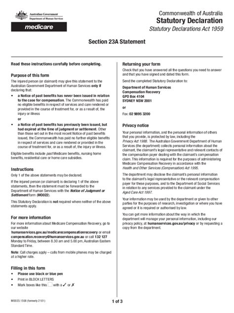 Declaration Statement Sample Master Of Template Document