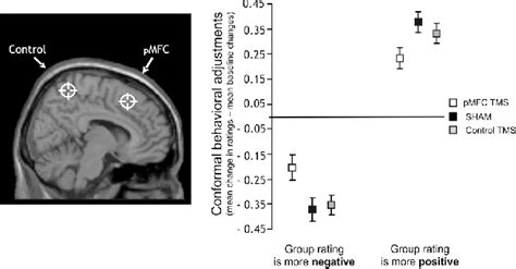 Figure 1 From Downregulation Of The Posterior Medial Frontal Cortex Prevents Social Conformity