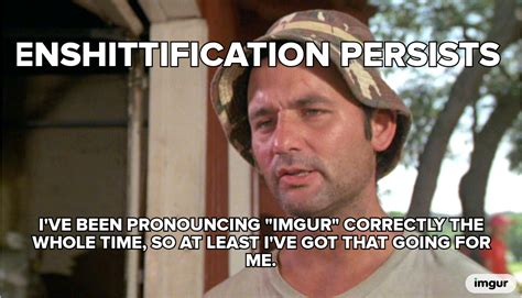 Take The Wins Where You Can Find Them I Guess Also Kitty Album On