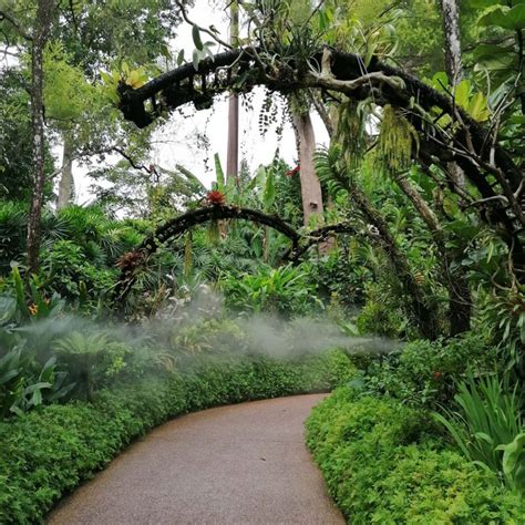 Singapore Botanic Gardens Attractions 60 Photos