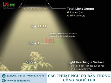 CÁC THUẬT NGỮ CƠ BẢN TRONG CÔNG NGHỆ LED