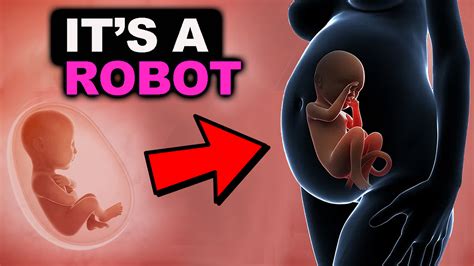 This Pregnant Female Robot Gave Birth In An Artificial Womb