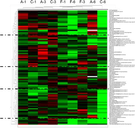 Hierarchical Analysis Heat Map Of Differentially Abundant Proteins