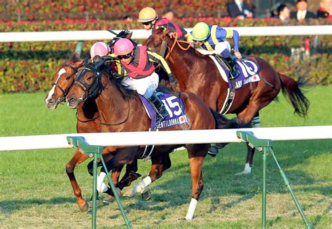 【12年ジャパンc】3歳秋3戦目、ジェンティルドンナは「促し、促し」オルフェーヴルに20センチ差v スポーツ報知