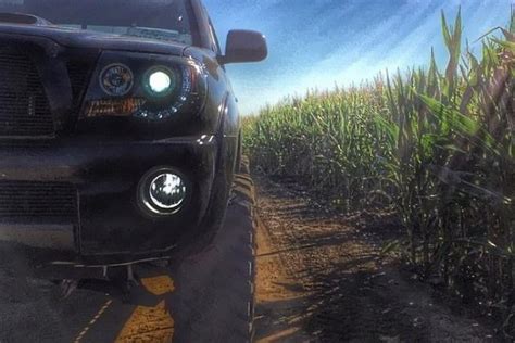 Spyder Toyota Tacoma 2010 Black Halo Projector Headlights With