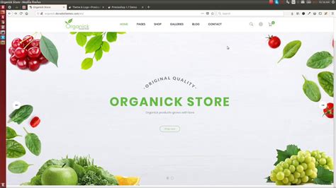 how to install and setup organick prestashop v1 7 by doradothemes