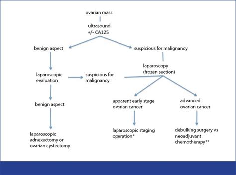 The Role Of Laparoscopy In The Evaluation And Treatment Of Epithelial
