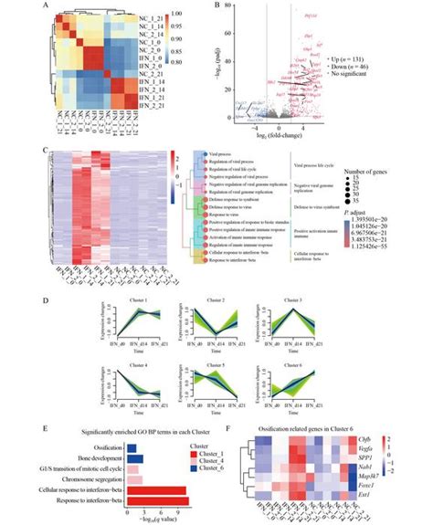 Fig 1 Image Eurekalert Science News Releases