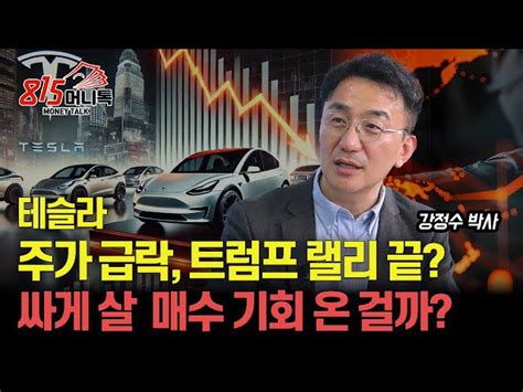 테슬라 주가 급락 이유 1월에 싸게 살 절호의 매수 기회가 온다 중국산 전기차의 무서운 성장 블루닷ai 연구센터 소장강정수 박사