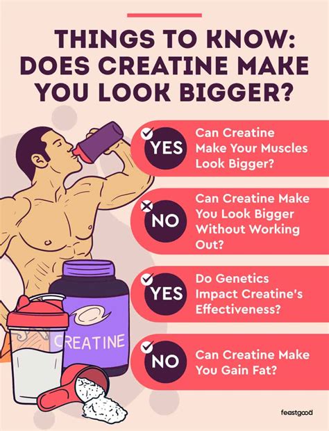 Creatine For Bigger Legs At Jose Cheung Blog