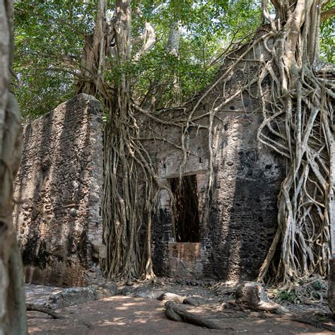 Explora La Antigua Y Descubre La Historia Viva De La Casa De Hernán Cortés Veracruzanos