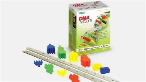 Dna Pcr And Agarose Gel Electrophoresis — Bio Rad