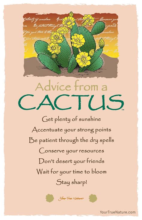 Cactus Jack Quotes