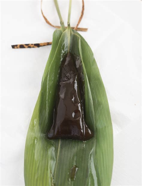 西湖紫野和久傳京都の和菓子図鑑4 カイエデモード