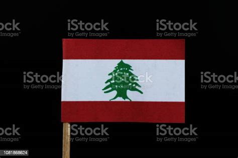 검은 배경에 이쑤시개에 레바논의 공식 플래그입니다 빨강 백색과 빨강의 수평 Triband 이루어져 있다 녹색 레바논 삼나무로 기소 0명에 대한 스톡 사진 및 기타 이미지