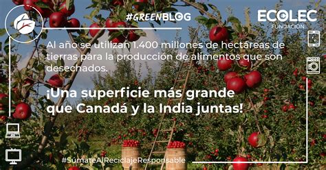 ¿cuál Es La Huella Ambiental Del Desperdicio De Alimentos Greenblog