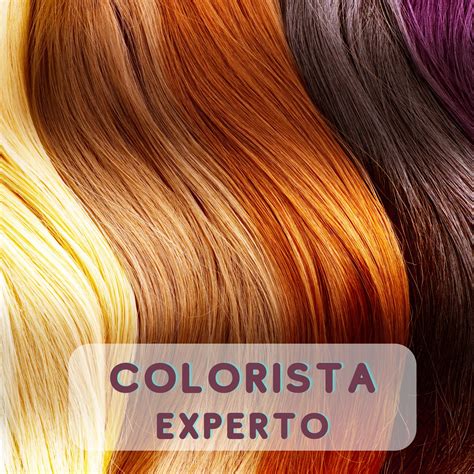 Aprende Desde Casa Colorimetría Y Se Un Experto En Tintes Color Y Cuidado Del Cabello 👩🏼‍🦰 🔥 👉