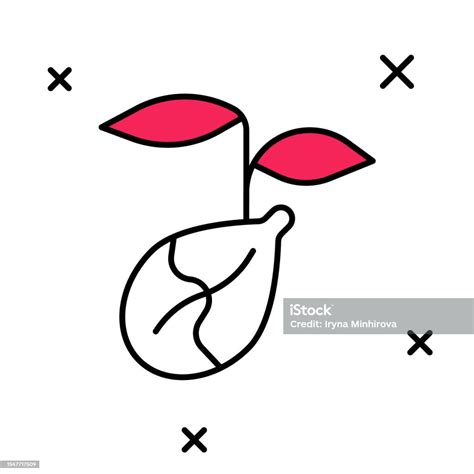흰색 배경에 격리 된 윤곽 새싹 아이콘 종묘와 묘목 나뭇잎 기호 잎 자연 벡터 가득 찬에 대한 스톡 벡터 아트 및 기타 이미지