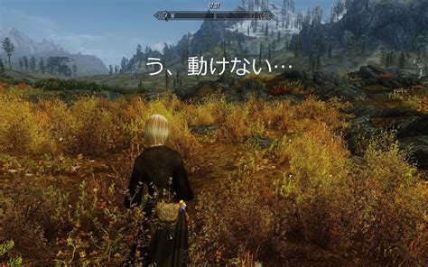 「c Runtime Error」によるフリーズへの対処法 今からskyrim