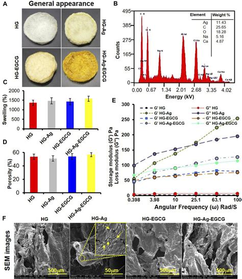 Synthesis And Characterization Of Hydrogels And Hydrogel Patches A