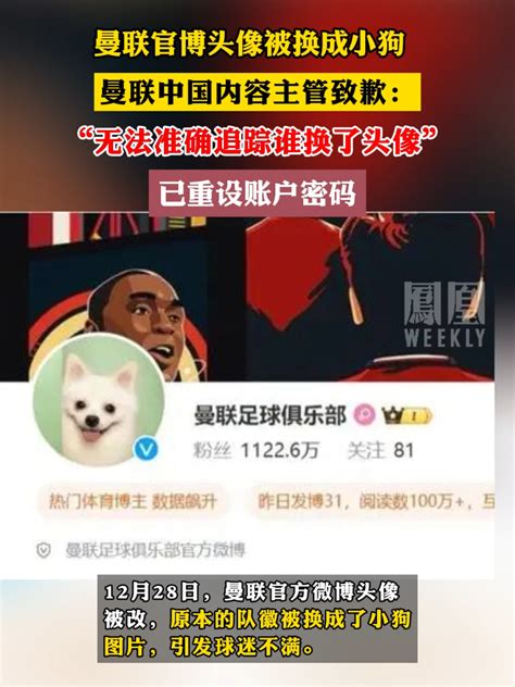 曼联官博头像被换成小狗曼联中国内容主管致歉无法准确追踪谁换了头像 曼联 凤凰网视频 凤凰网
