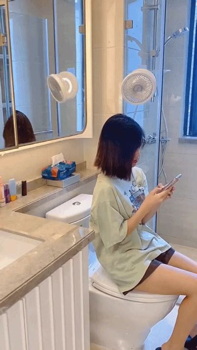 Household Dual Use Kitchen Fan