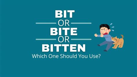 Bit Or Bite Or Bitten Which One Should You Use Capitalize My Title