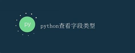 Python查看字段类型极客教程