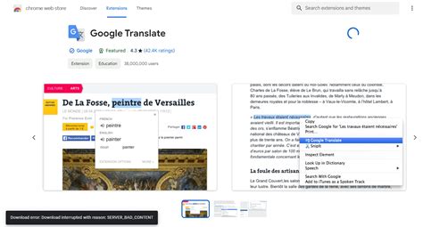 Cant Download Chrome Extensions Roperagx