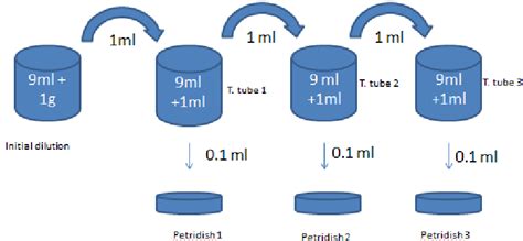 The Dilution Process From The Initial Sample To Test Tubes And Download Scientific Diagram