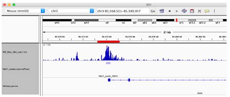 Chip Seq 分析：基因集富集（11）chip测序结果可视化怎么分析在某个基因的启动子区域富集 Csdn博客