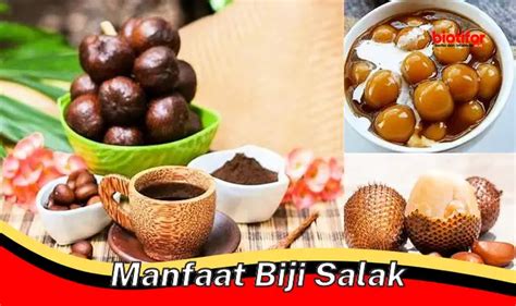 5 Manfaat Biji Salak Yang Jarang Diketahui Biotifor