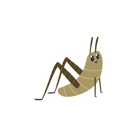 110 Grasshopper Toy Stock Illustrations Royalty Free Vector Graphics