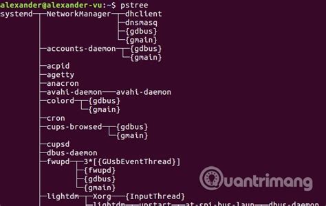 Instructions For Using Pstree Command On Linux